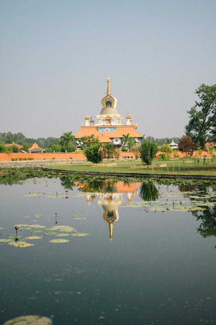 DSC7798-1 - Inside Himalayas